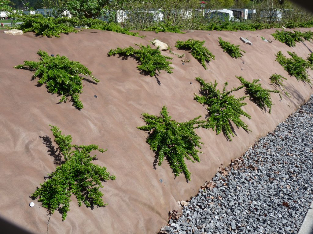 Plantex Gold (125 g/m²) – Dumtis